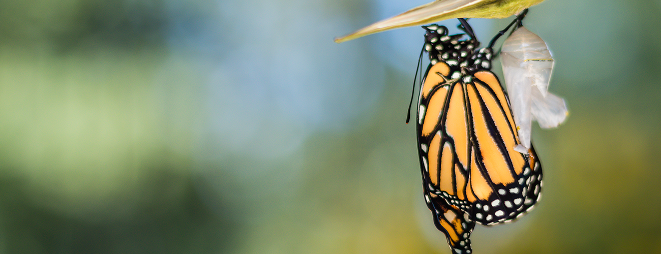 CloudOps - Accelerating Digital Transformation: What Every CEO Needs to ... CloudOps - Accelerating Digital Transformation: What Every CEO Needs to ...