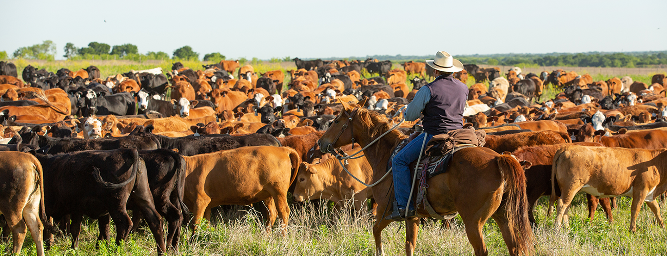 CloudOps - Rancher 2.0: Exciting Features You Should Know About